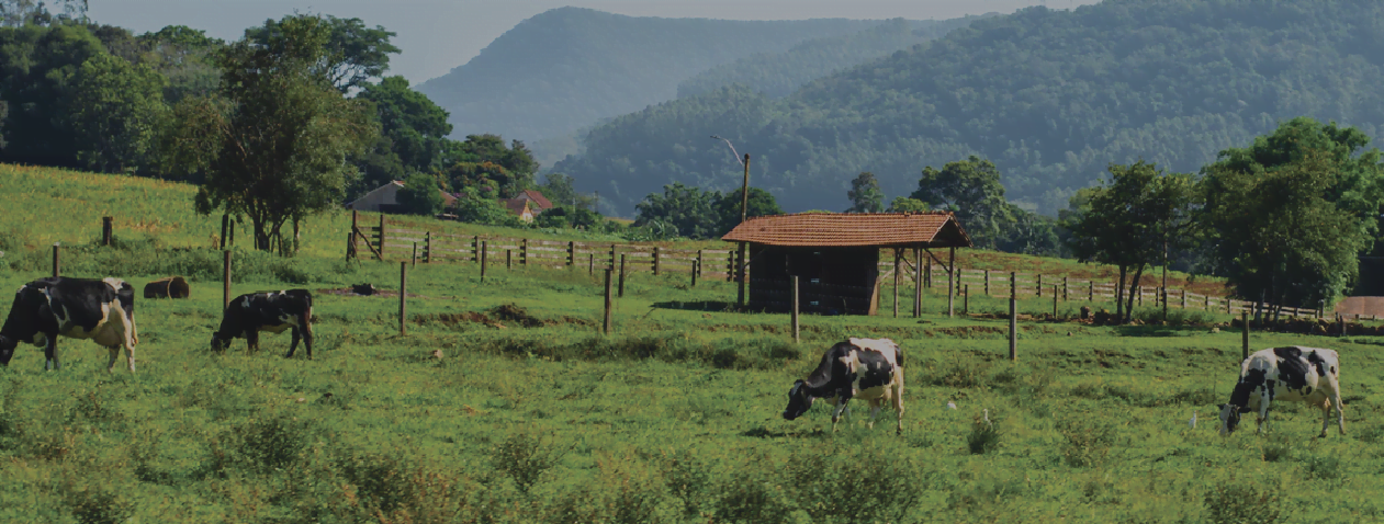 Financial Management System | Cloud Solution - Kingdee